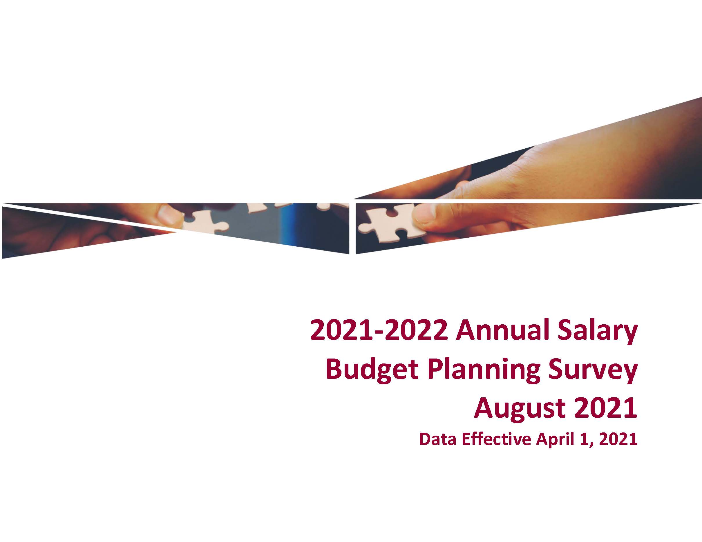 ANNUAL SALARY BUDGET PLANNING SURVEY